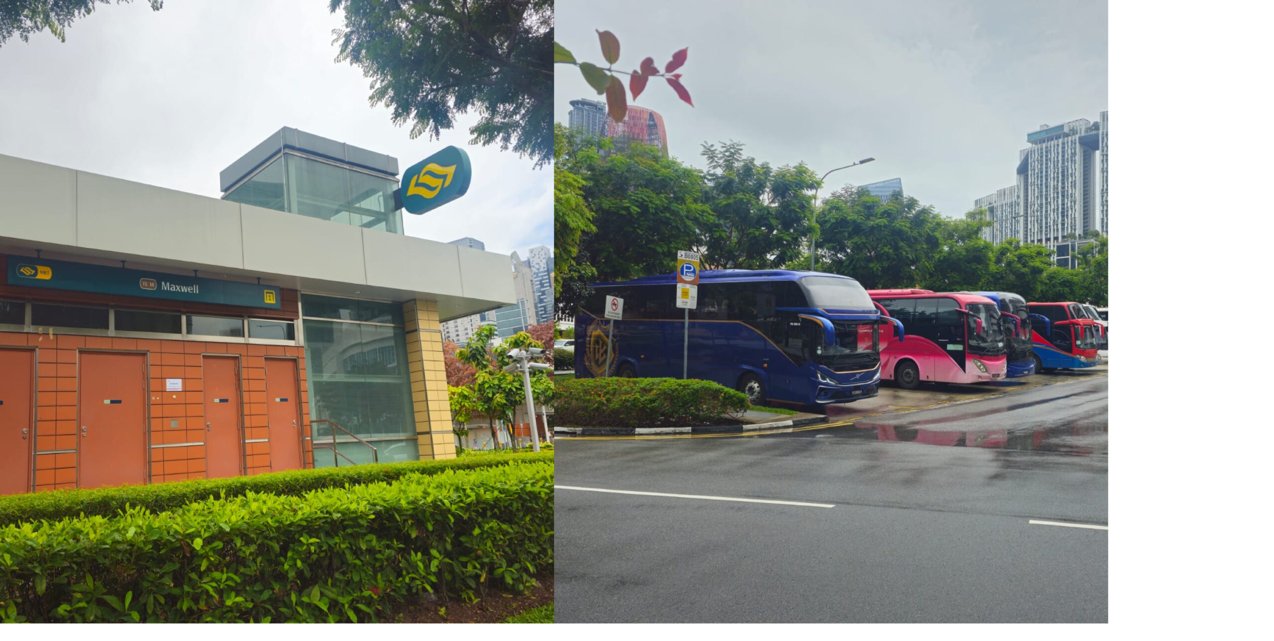 [In Person] Robin Village Development Professional Knowledge Series ...